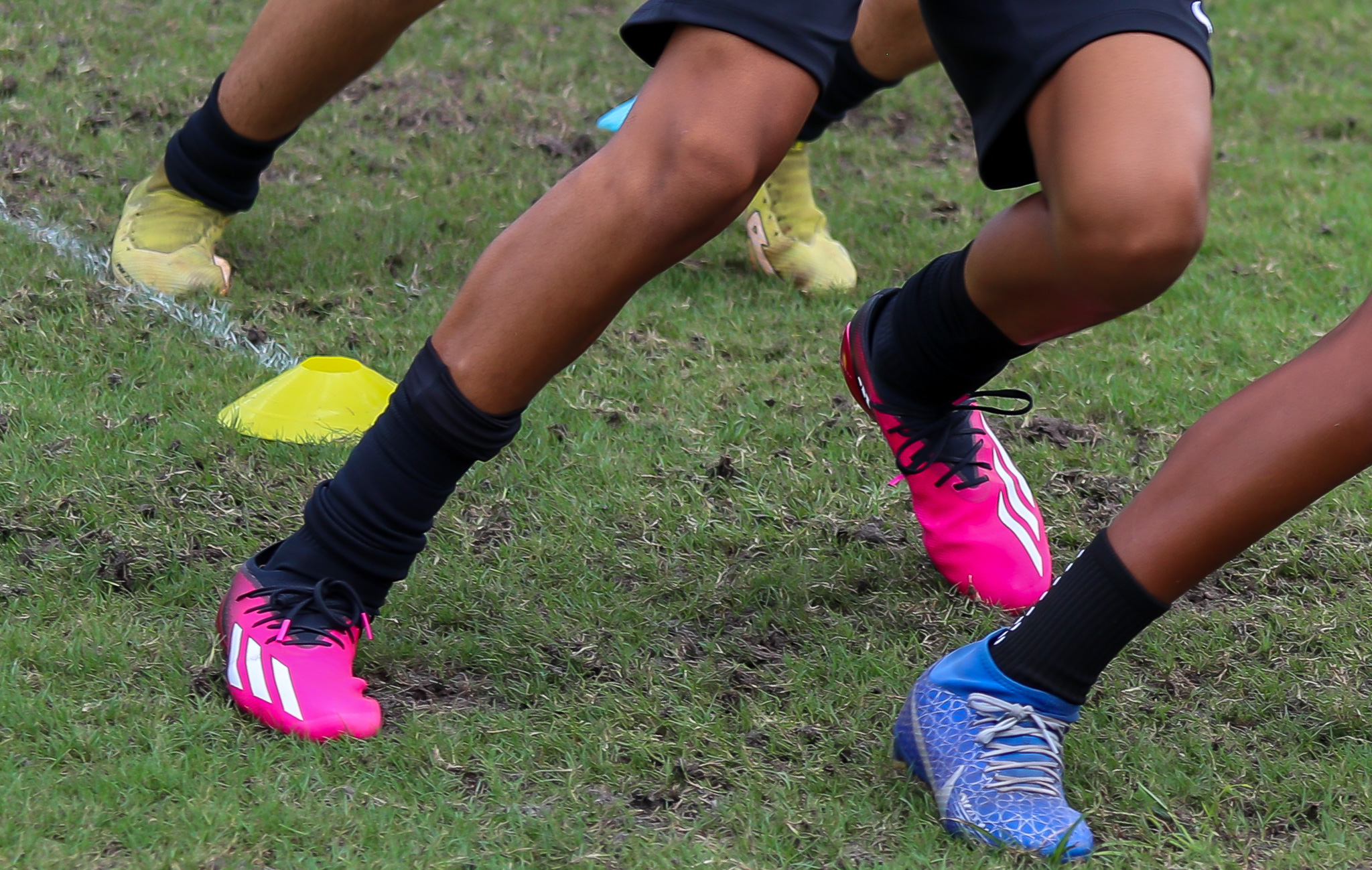 Homepage - FKK | Florida Kraze Krush